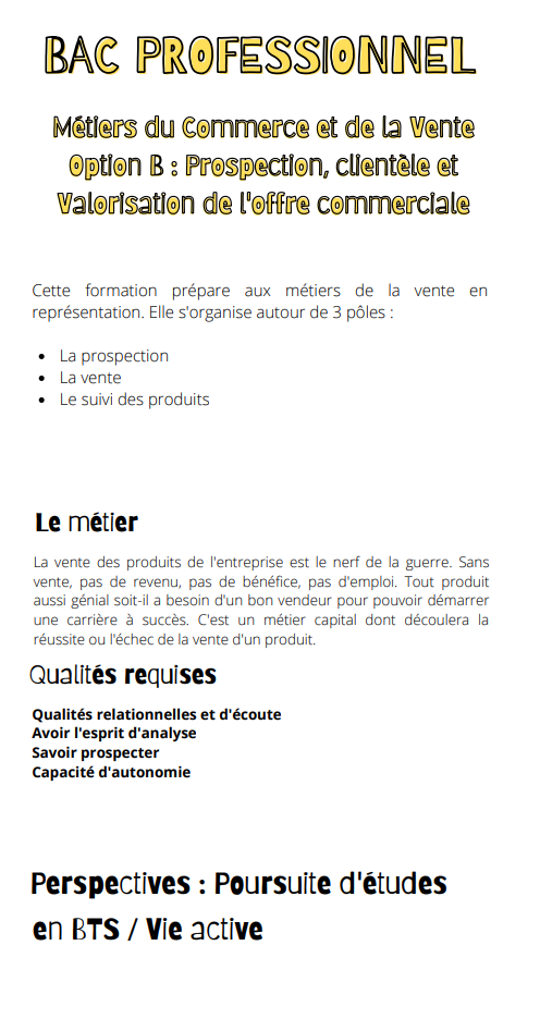 BAC PRO Métiers de la vente : Op. B – Lycée professionnel Camille Claudel